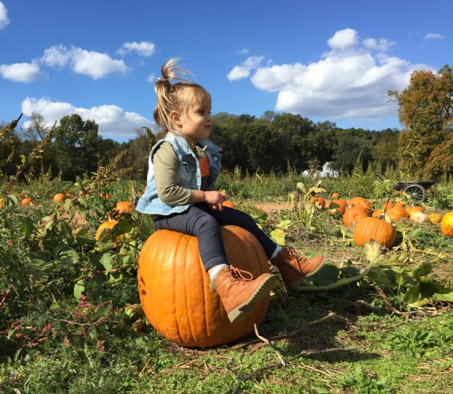 Cut Clutter With Scissors | Halloween is Creeping Closer