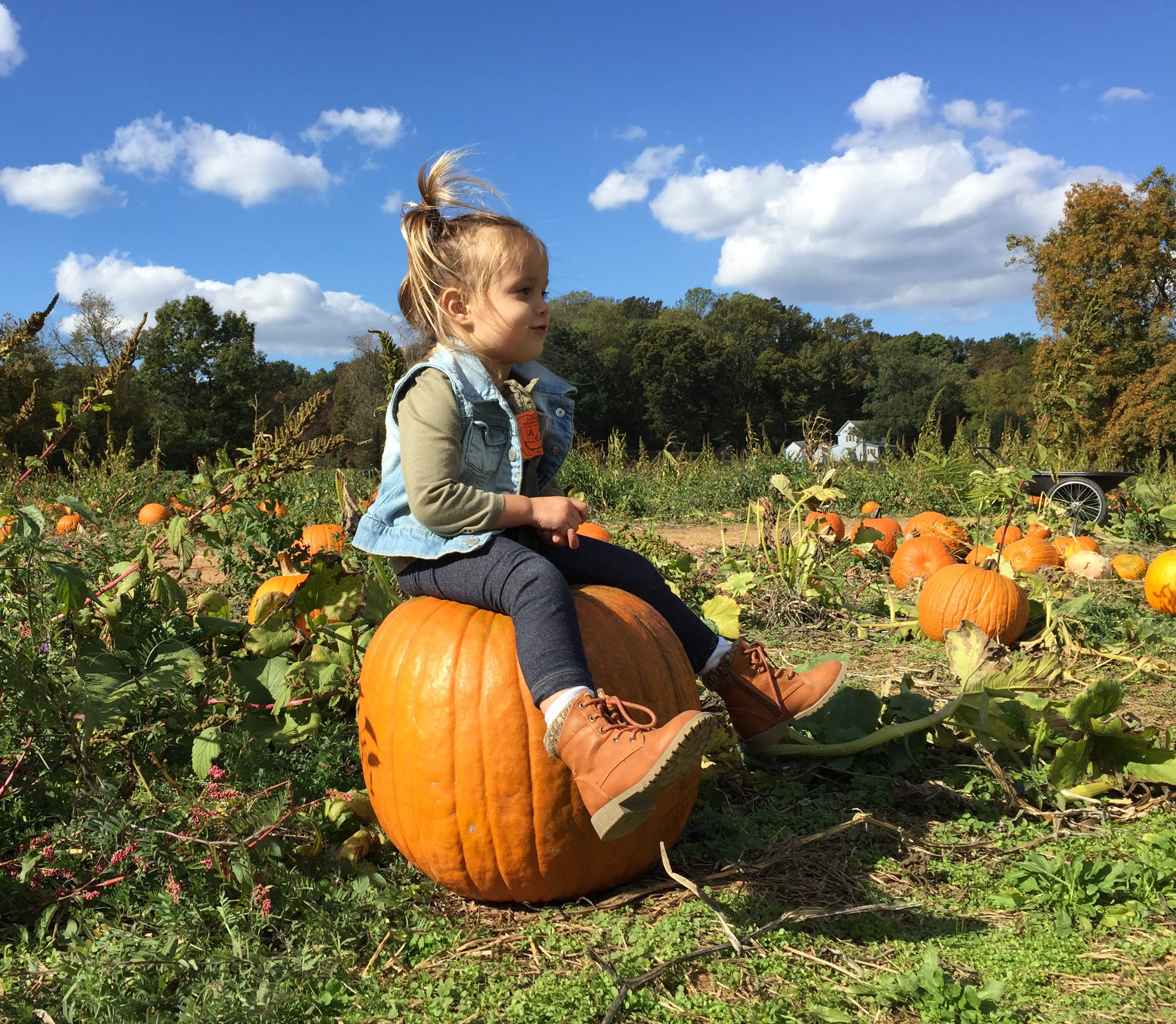 Cut Clutter With Scissors | Don't Clutter Up Halloween